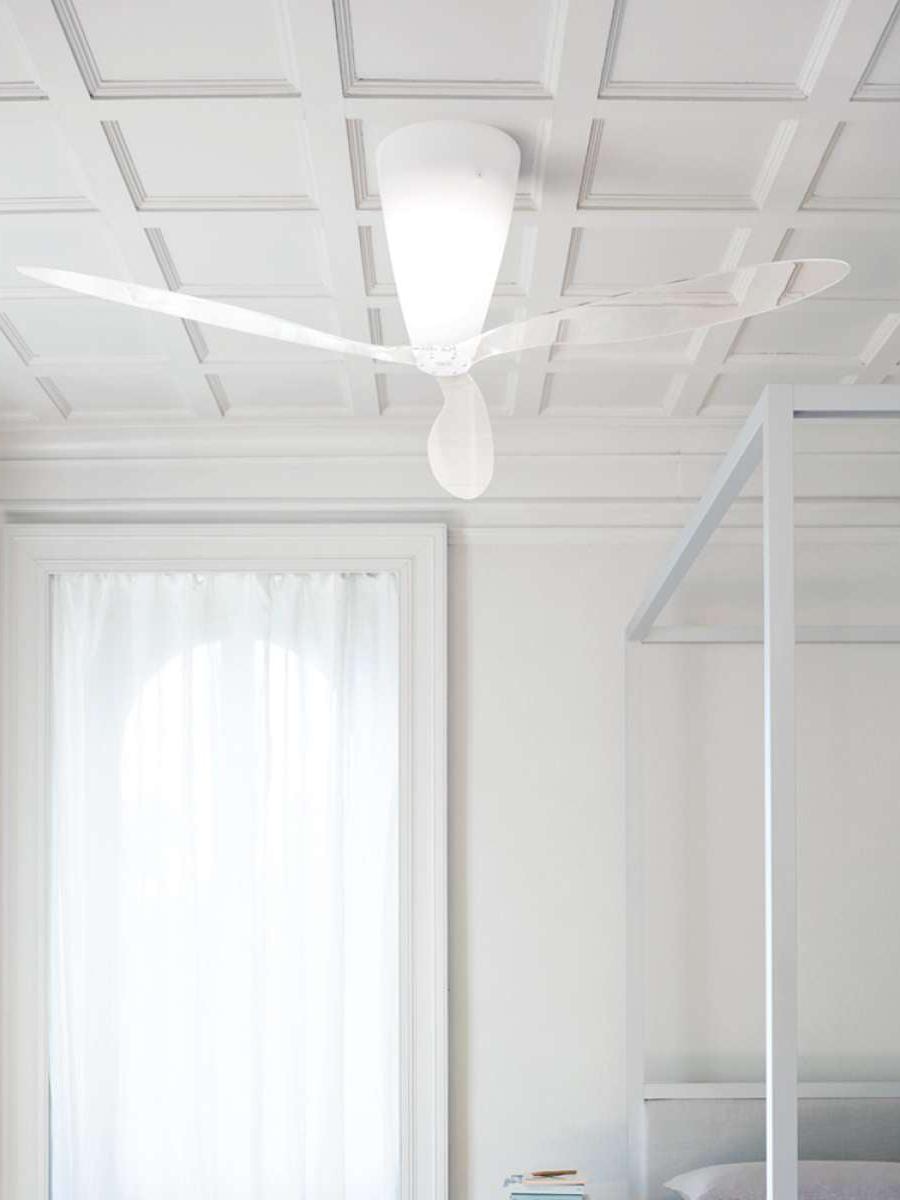 Blow Ceiling Light-Fan