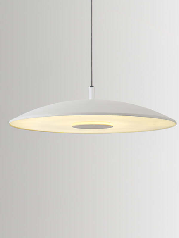 Scope Pendant Lamp