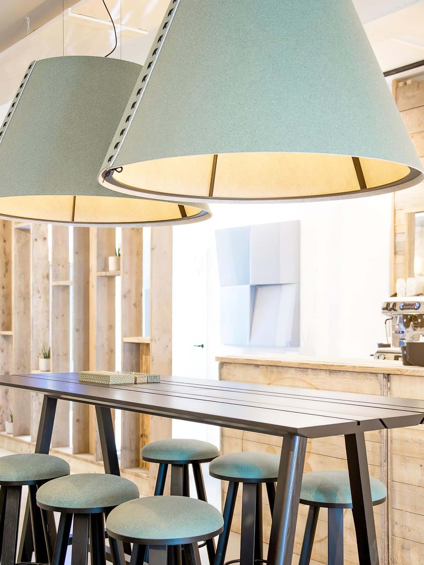 Acoustic Pendant Lamp