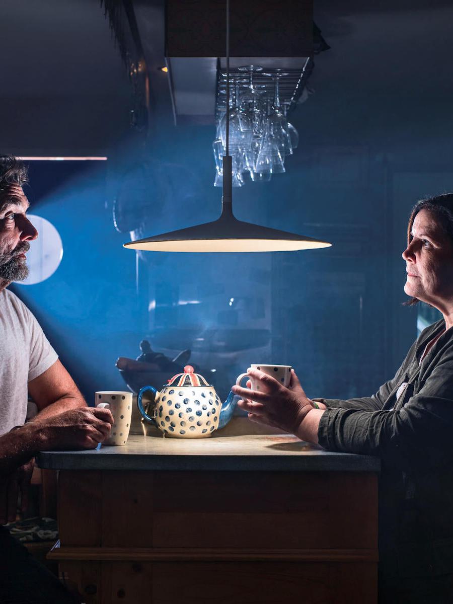 Aplomb Large Suspension Light